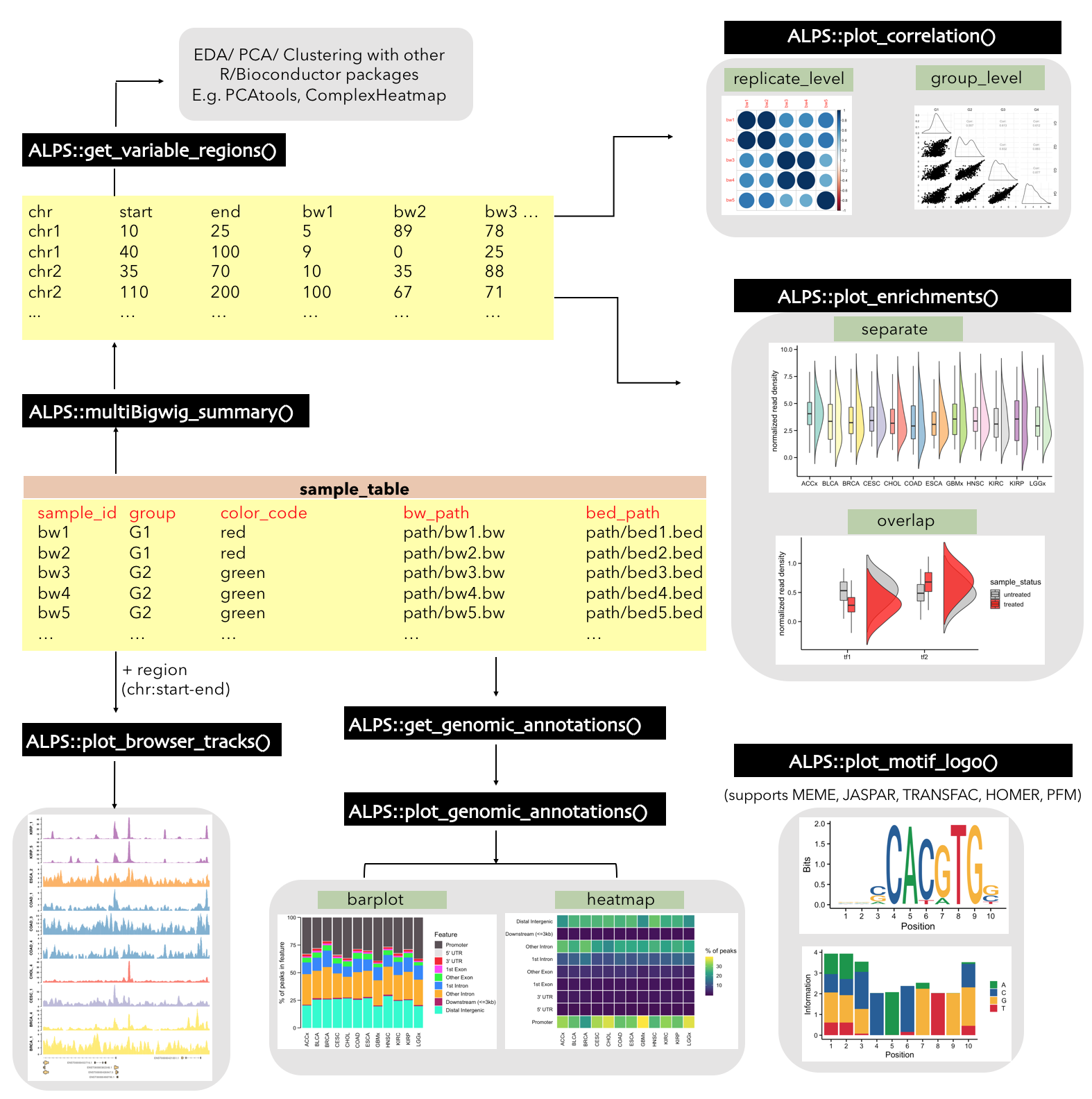 ALPS | The Data Diary